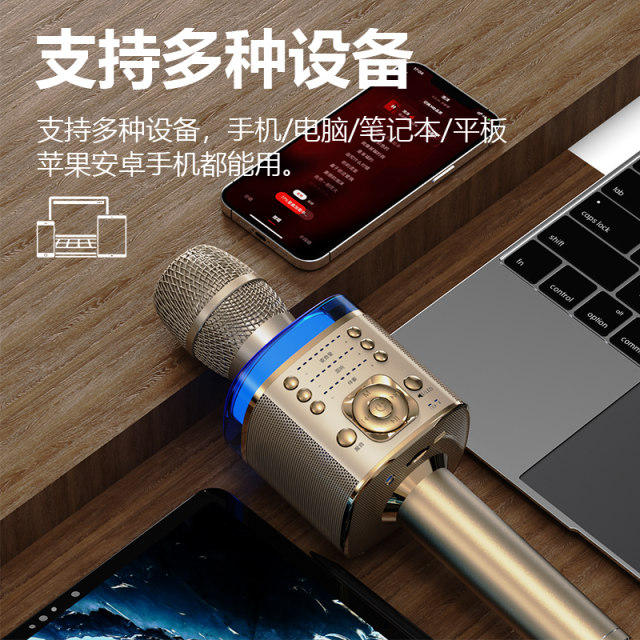 Rebel microphone microphone audio all-in-one machine universal singing ...