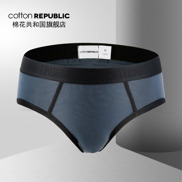 Cotton Republic Men's Briefs Modal Fabric Sexy Mid-waist Trendy Men's ...