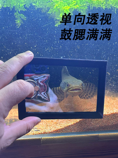 Thunder dragon fish training mirror, fighting fish Arhat, double-sided ...