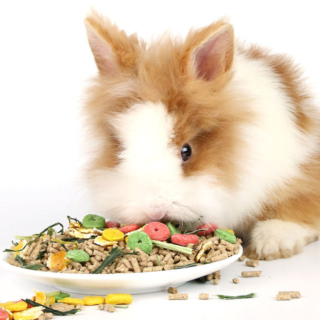 Pet rabbit food adult rabbit young rabbit food guinea pig food guinea ...
