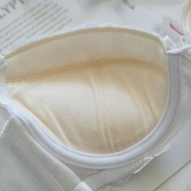 Seasonal new Japanese foreign trade underwear set embroidered lace top ...