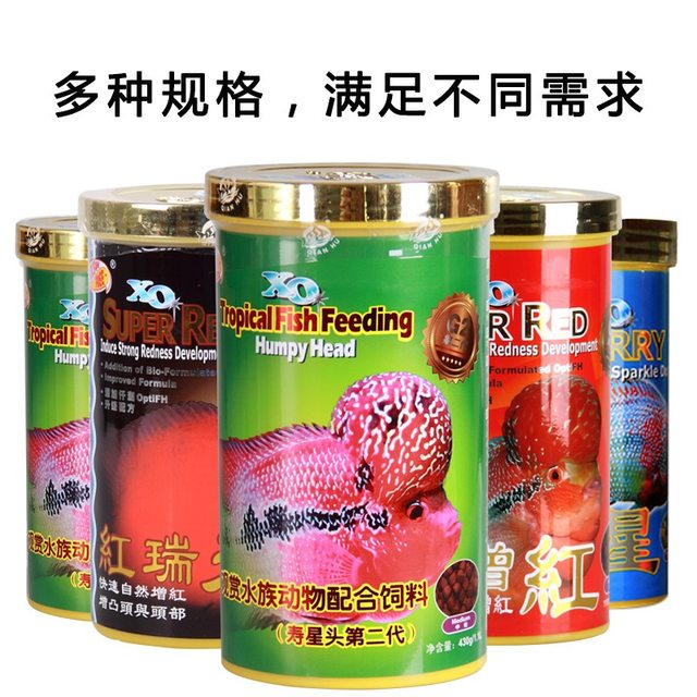 Qian Hu Ao Shen Longevity Star Head Red Ruishen Arhat Fish Feed ...