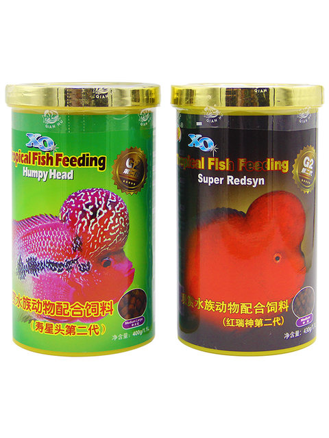 Qian Hu Ao Shen Longevity Star Head Red Ruishen Arhat Fish Feed ...