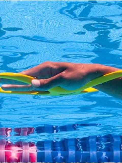 FINIS imported from the United States Phoenix Forearm fulcrum stroke ...