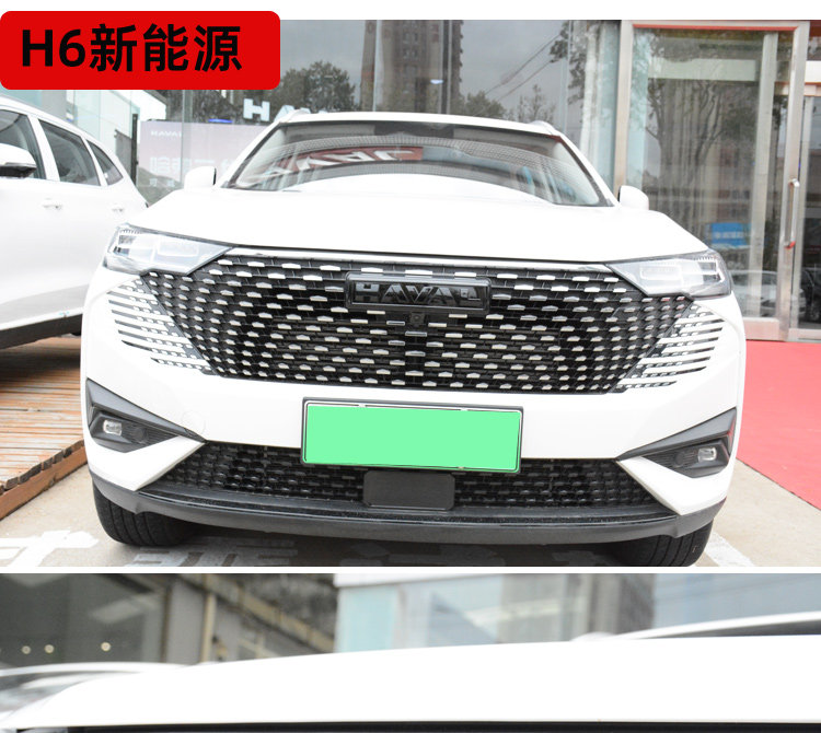 Logo - Étiquettes avant et arrière big dog fuel/phev de 2e génération ...