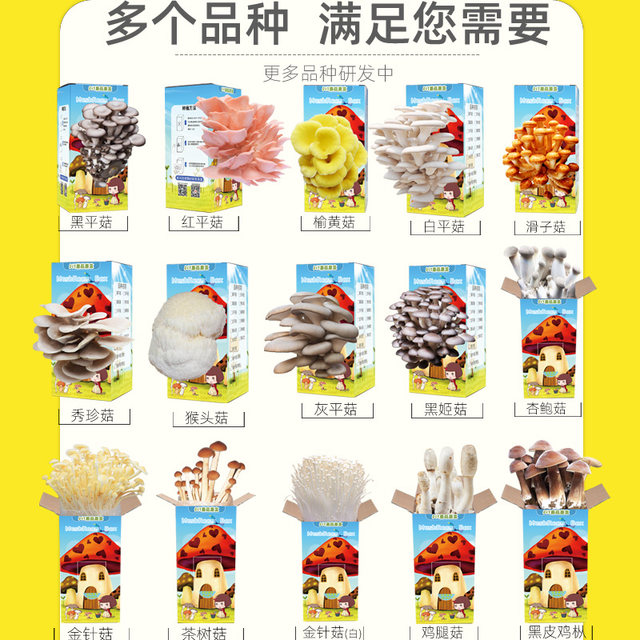 DIY Mushroom Box Mushroom Planting Pack Oxygen Enoki Mushroom Mushroom ...