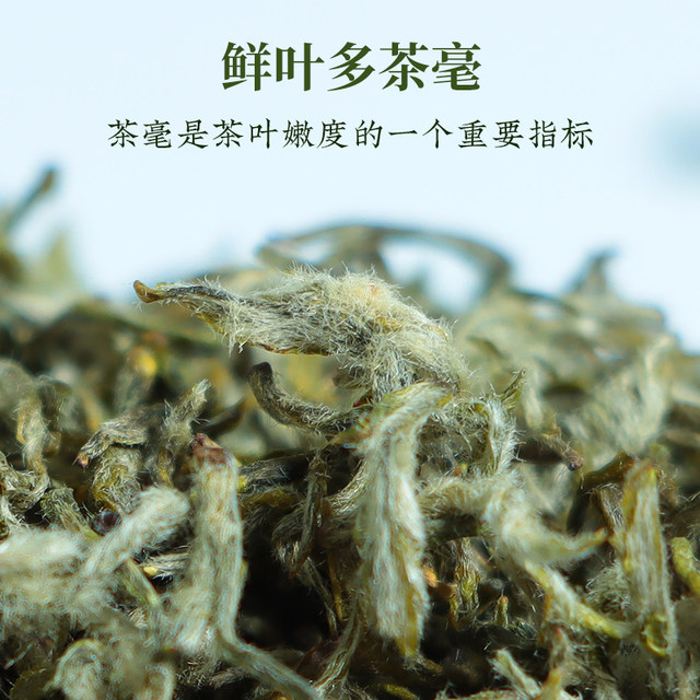 Sichuan Specialty Special Grade Bird's Tongue Tea Mengding Manna Green ...