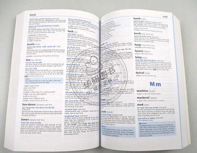 Genuine Oxford English Idioms Dictionary English-English Dictionary ...