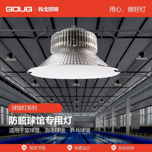 LED Basketball Court Lights - Anti-Glare Indoor Arena Lighting | Gouge ...
