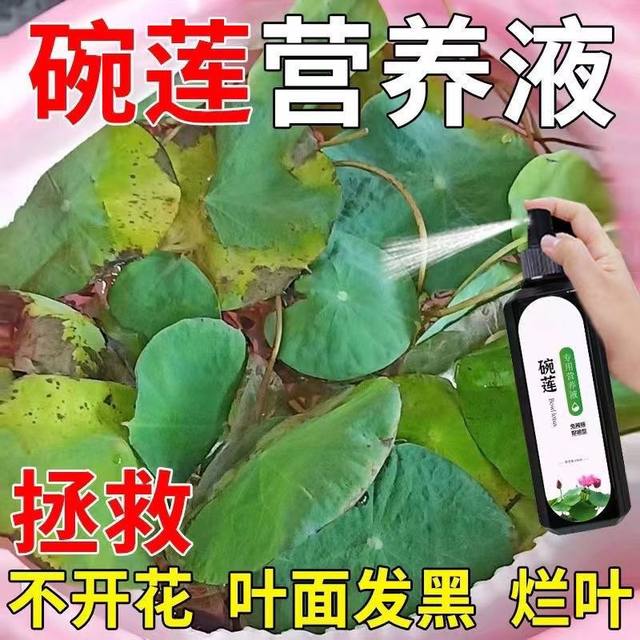 Special nutrient solution for bowl lotus, water lily fertilizer ...
