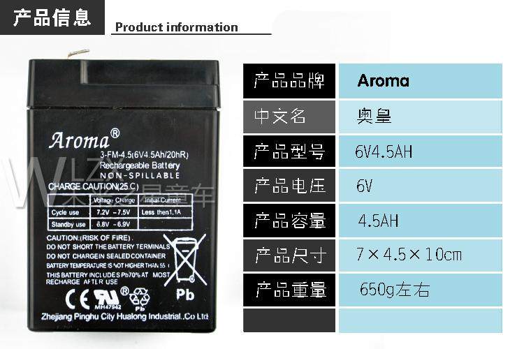 Aroma 6V 4.5Ah Electric Vehicle Battery - Replacement for Kids Ride-On Cars