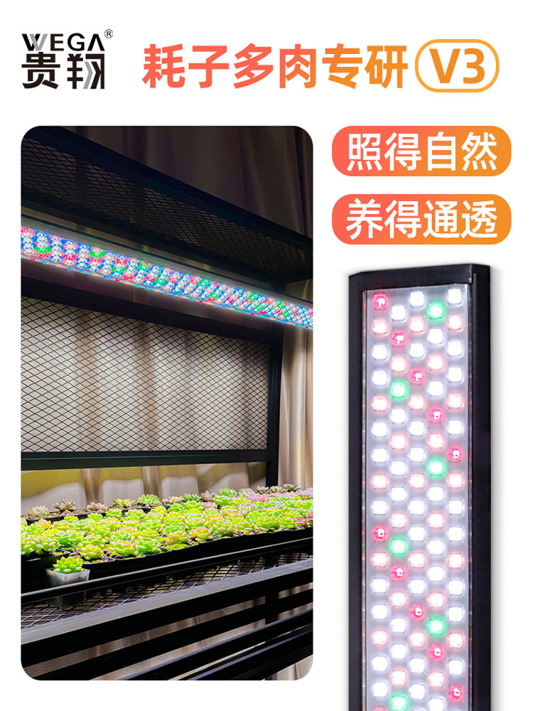 Wega Guixiang 81-100W LED-kasvivalo, täyden spektrin
