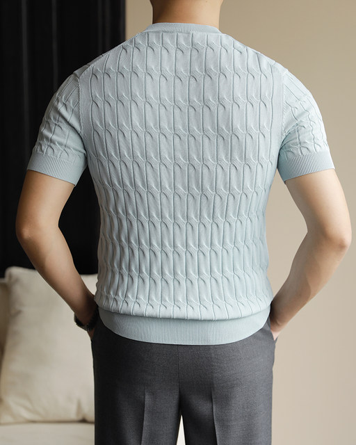 Casual round neck polo shirt for men in summer, business slim, non-iron ...