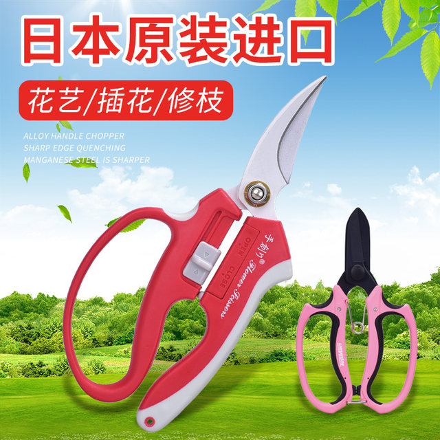 Imported Japanese florist flower branch scissors thorn flower art scissors Japanese gardening ...