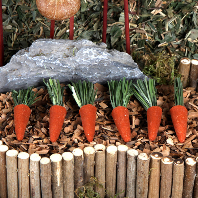 Buka star small hamster molar stick carrot biscuit landscaping supplies ...