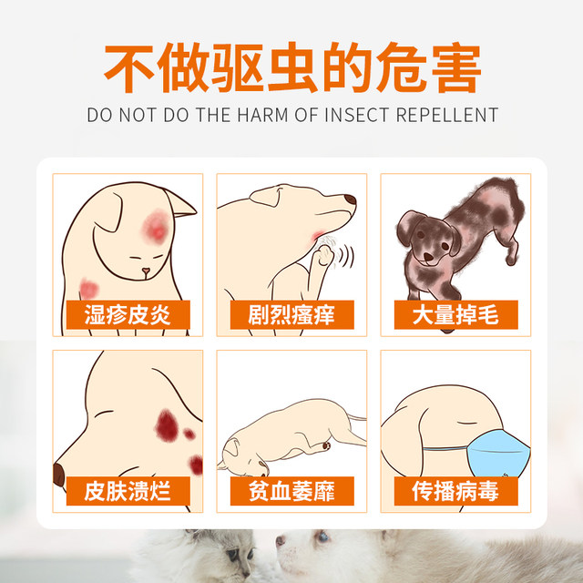 Pointe cat and dog anthelmintic drug Aidik pet external deworming and ...