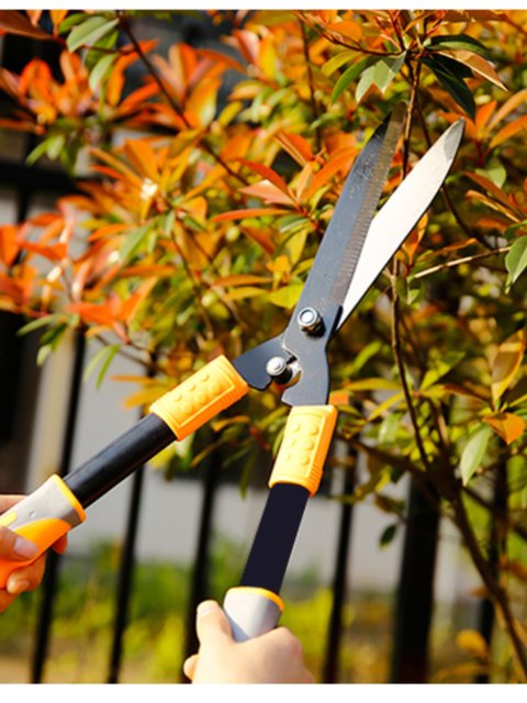 Cut the grass large scissors, weed the lawn, shear garden branches ...