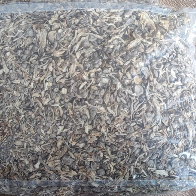 Gutian Deer Antler Mushroom Crushed Dried Products Pure Mushrooms Pure ...