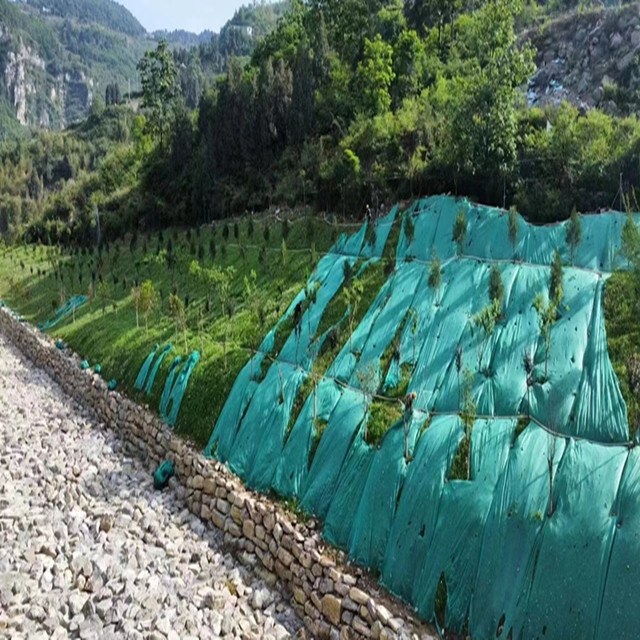 Four-season evergreen slope protection, soil-resistant, cold-resistant ...