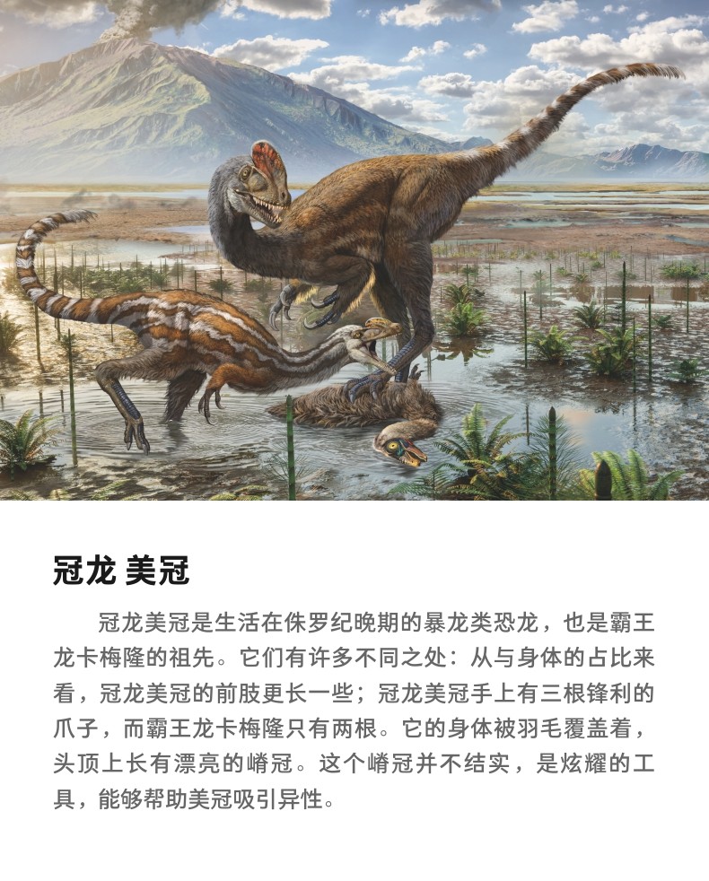 Pnso Nouveau Tyrannosaurus Rex Cameron Avec Tyrannosaurus Skull ...