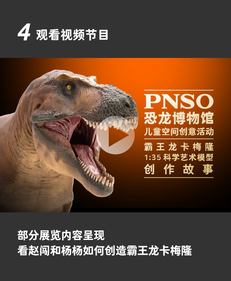 Pnso Nouveau Tyrannosaurus Rex Cameron Avec Tyrannosaurus Skull ...