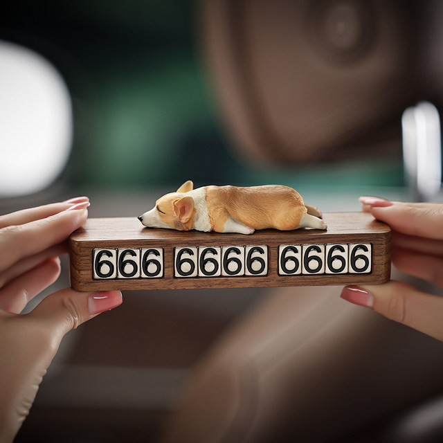 Lazy sleeping Little Shiba Inu senior walnut car roadside temporary ...