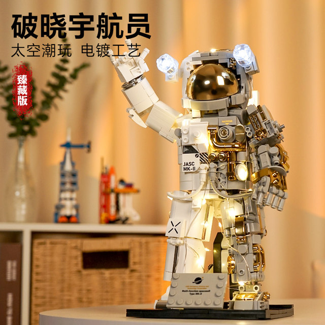 Astronaut small building blocks 10 puzzles 8 assembly 7 toys 5 boys ...