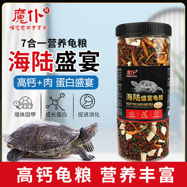 Turtle food, turtle food, Brazilian turtle, small turtle, grass turtle ...