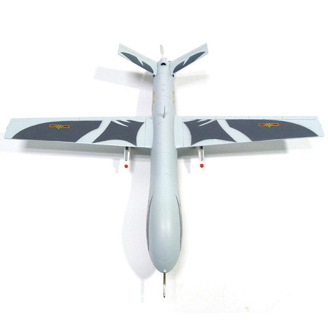Military situation 1:26 Pterosaur UAV model simulation reconnaissance ...