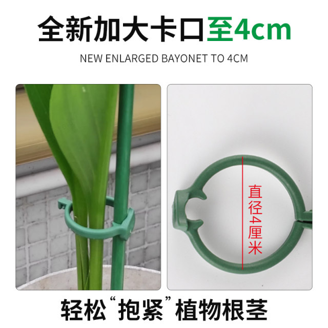 Gardening support rod flower stand holder Phalaenopsis orchid bracket ...