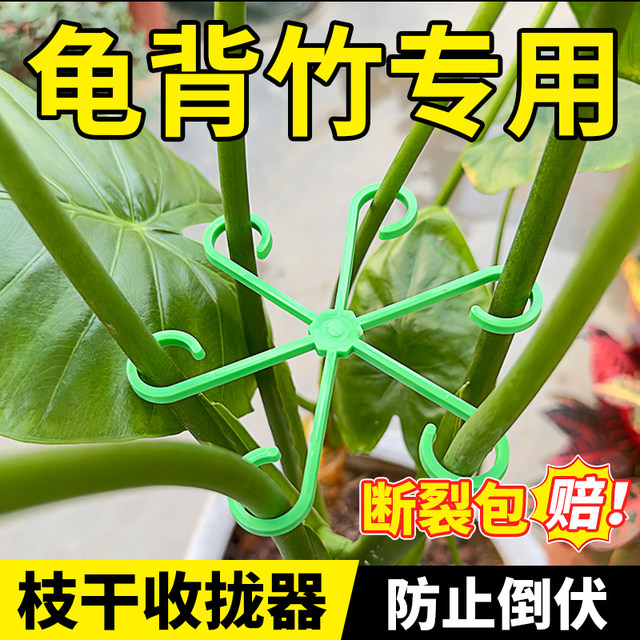 Monstera fixator support anti-lodging spring rain bracket branch fixed ...