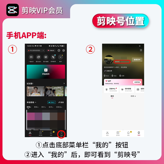 Silhouette membership VIP one month mobile version Silhouette one day ...