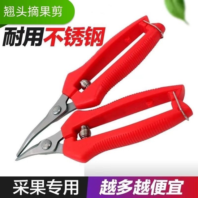 Thickened stainless steel fruit-picking scissors elbow scissors for ...
