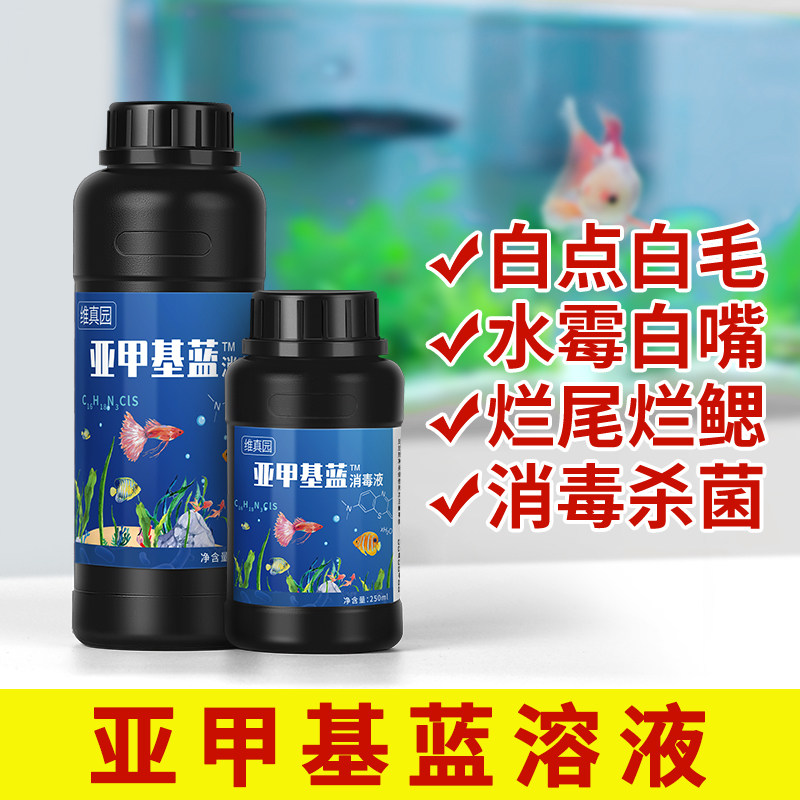 Methylene blue disinfection special for rotten fish tank saprolegnia ...