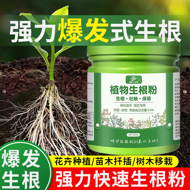 Strong rooting powder plant general-purpose fruit tree transplanting ...