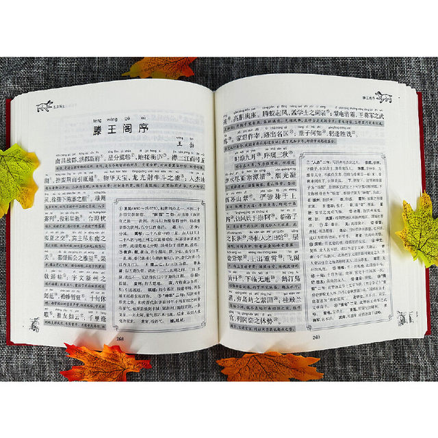 Dangdang website ancient provenance annotation hardcover phonetic ...