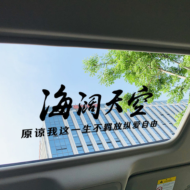 The sea and the sky car stickers forgive me for being unruly and ...