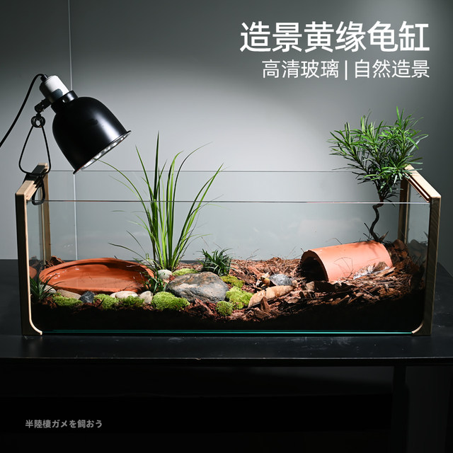 Yellow edge turtle special breeding tank turtle ecological landscaping ...