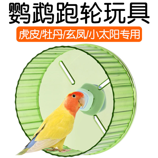 Budgie running wheel toy to relieve boredom, peony, bird wheel, little ...