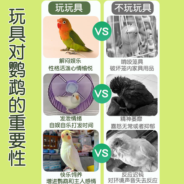 Tiger Parrot Running Wheel Toys Refreshing Self -Hi Peony Bird Rotor ...