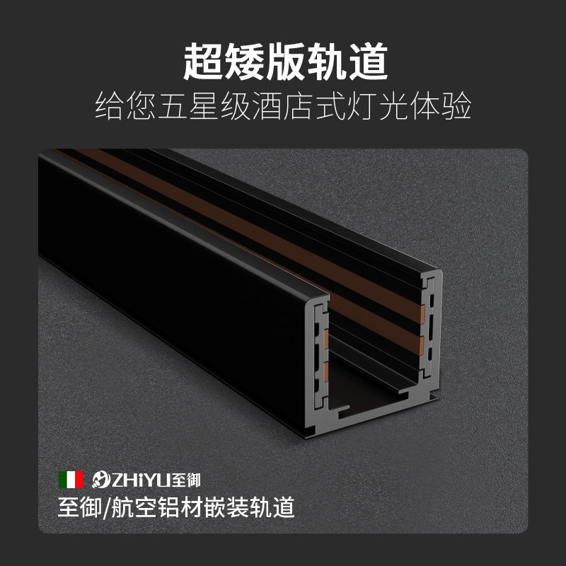 Zhiyu 16-20W Manyetik Ray Spot Işığı - Oturma Odası ve Otel için Gömme ...