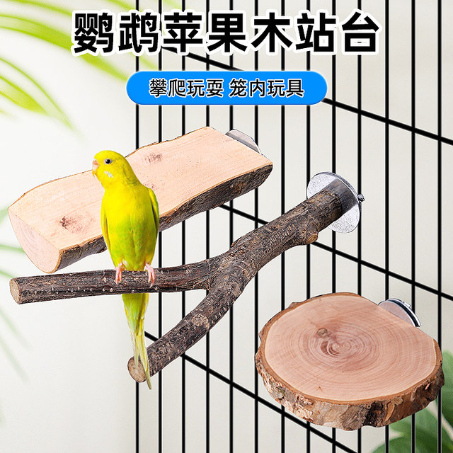 Parrot platform apple wooden jumping platform stand peony tiger skin ...
