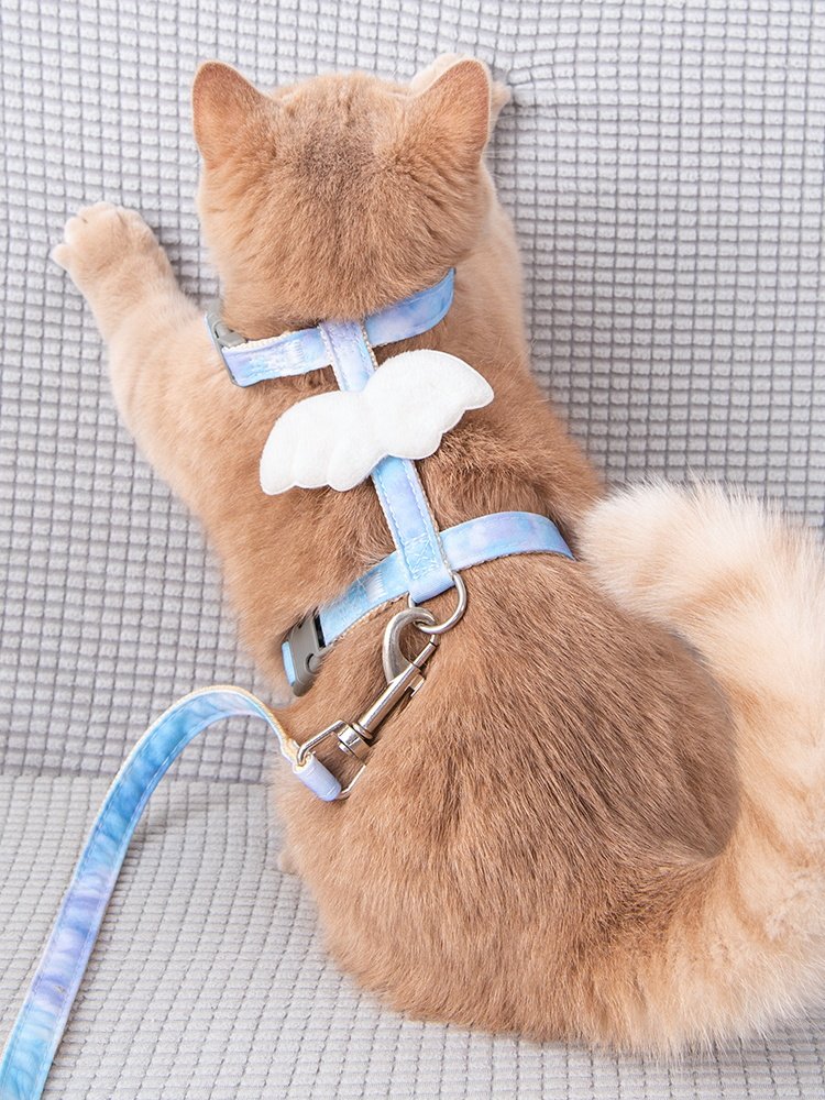 Cat Traction Rope, Anti-Breakaway Wings, Harness, Universal for All ...