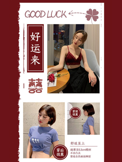 New Diane Fang Bra Big Breasts Show Small No Wires French Sexy Transfer ...