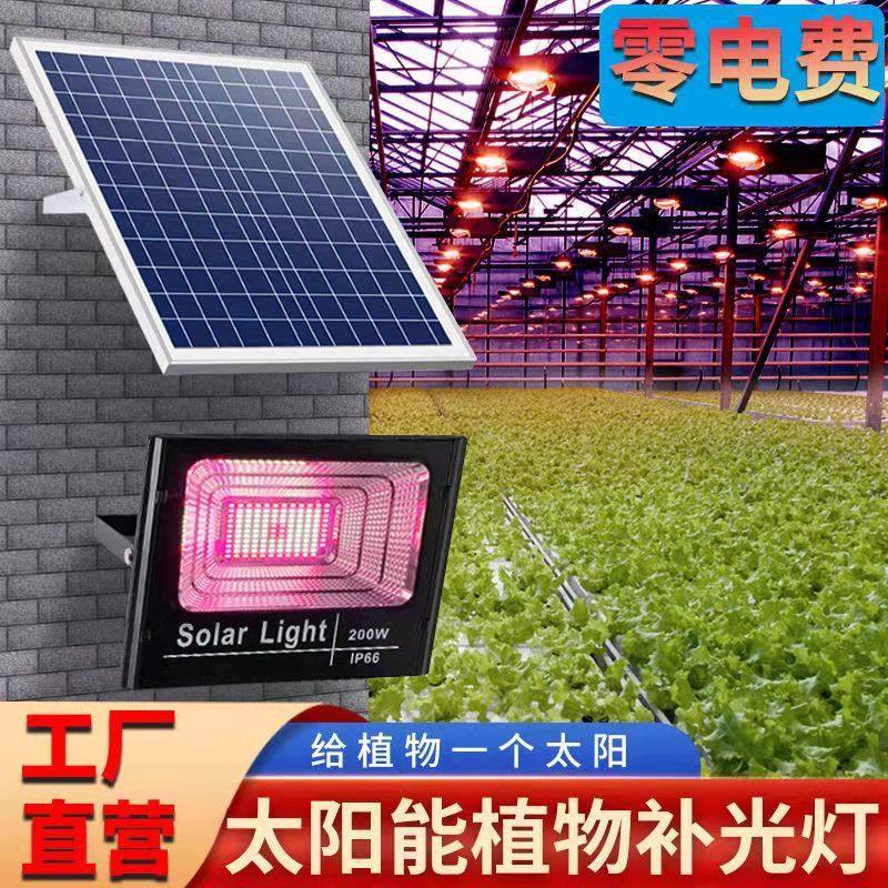 Solar Full-Spectrum LED Plant Growth Light - Indoor and Outdoor ...