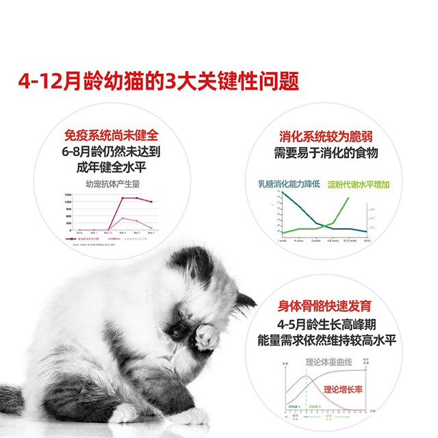 Royal cat food kitten milk cake special food K36/BK34 pregnant cat weaning period weaning cat ...