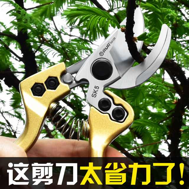 Gardening shears, fruit tree shears, pruning shears, garden branch ...