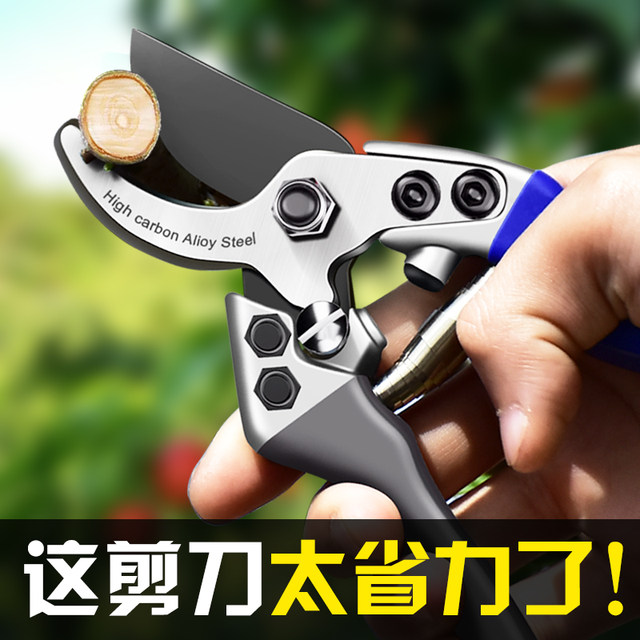 Gardening shears, fruit tree shears, pruning shears, garden branch ...