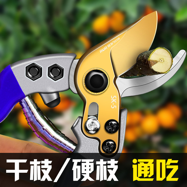 Gardening shears, fruit tree shears, pruning shears, garden branch ...