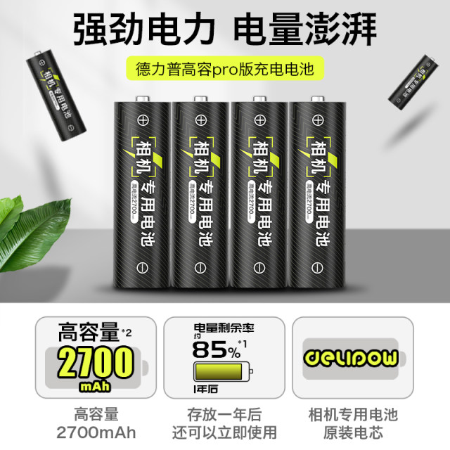 Delipu rechargeable battery No. 5 camera flash CCD special large ...